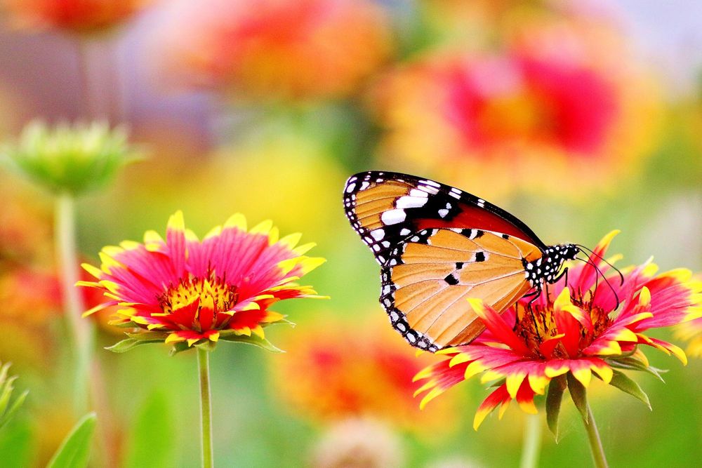 107 Best Pictionary Word Ideas for Work Games - Fun and Powerful