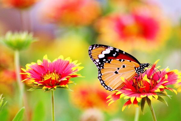 107 Best Pictionary Word Ideas for Work Games - Fun and Powerful